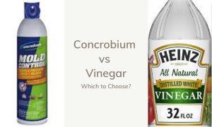 Concrobium vs Vinegar - Which to Choose?