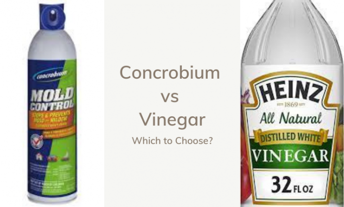 Concrobium vs Vinegar - Which to Choose?