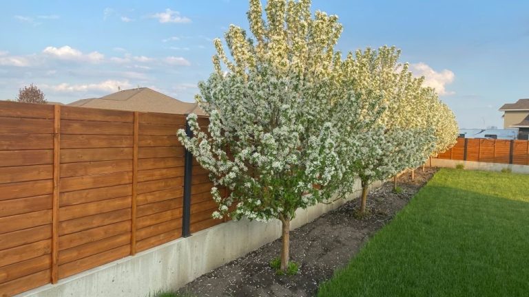 10 Cheap Bottom Fence Gap Blocker Ideas!